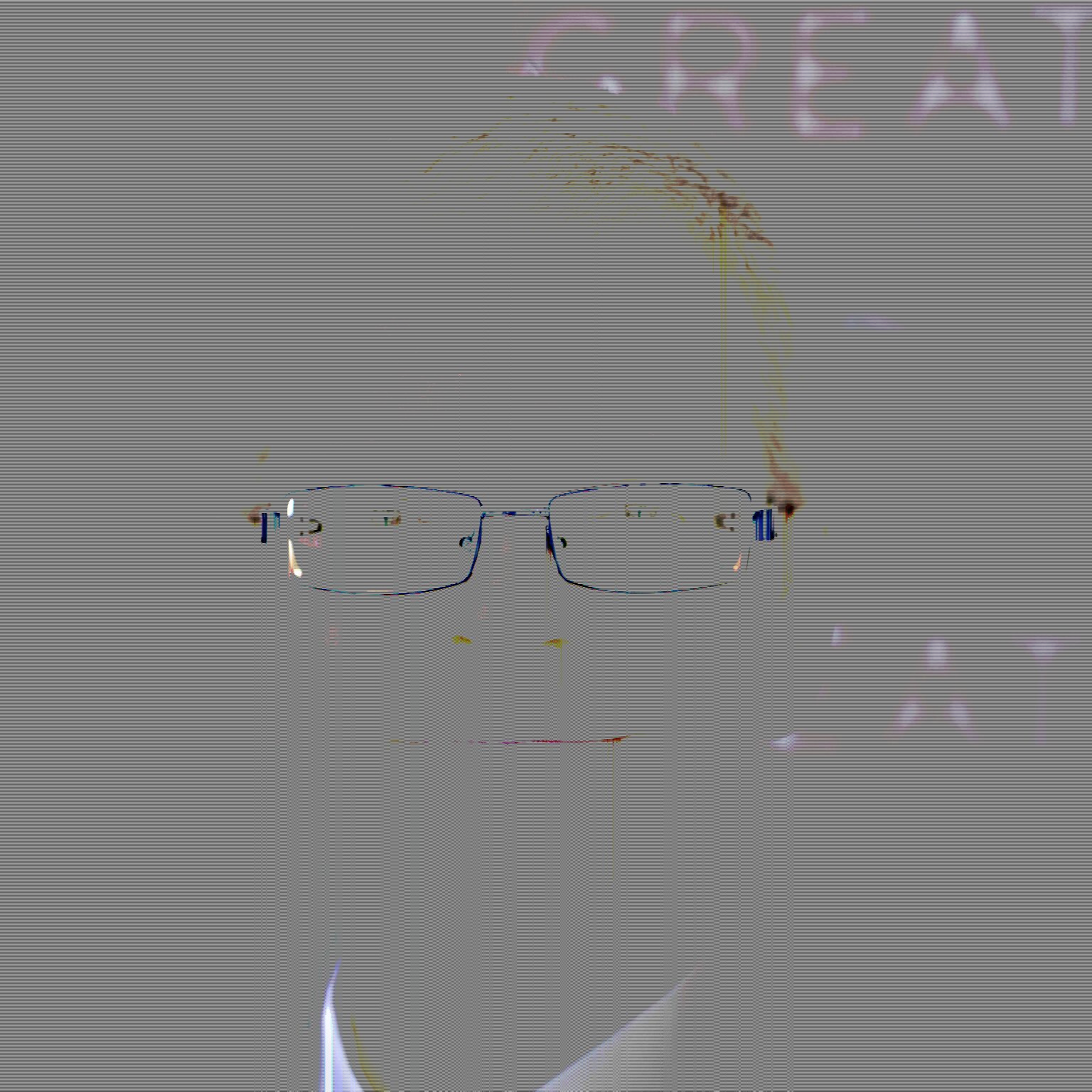 Rafe Courage - windforce2020